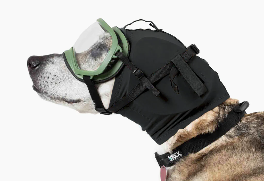 Rex Specs Ear Pro - Hike Dogs